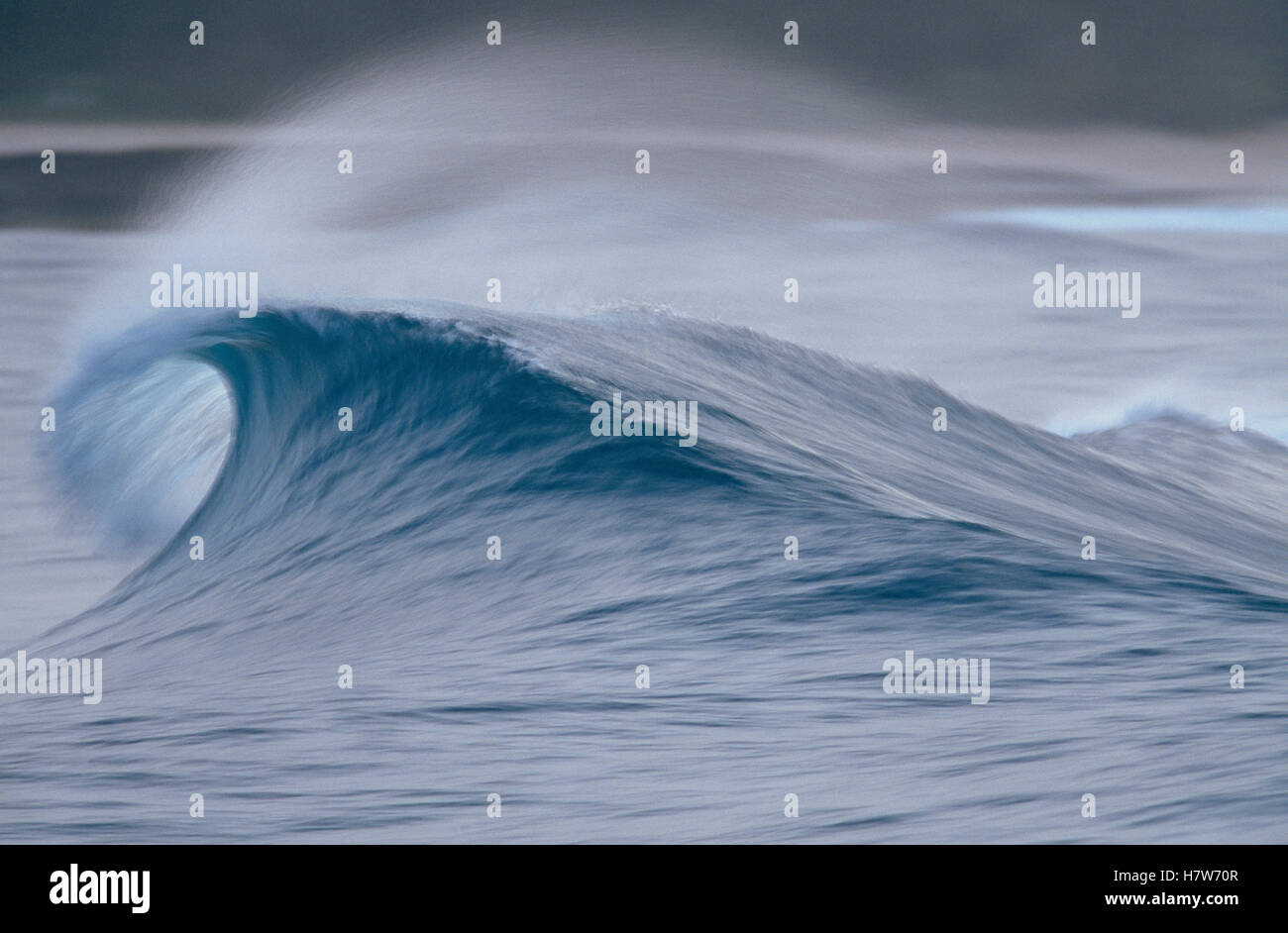 Breaking wave, North Shore, Big Island, Hawaii Stock Photo - Alamy