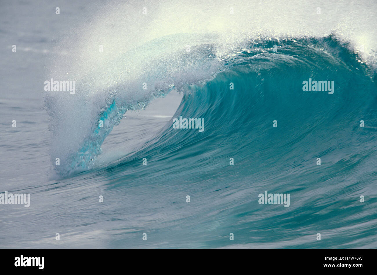 Ocean wave breaking Stock Photo - Alamy