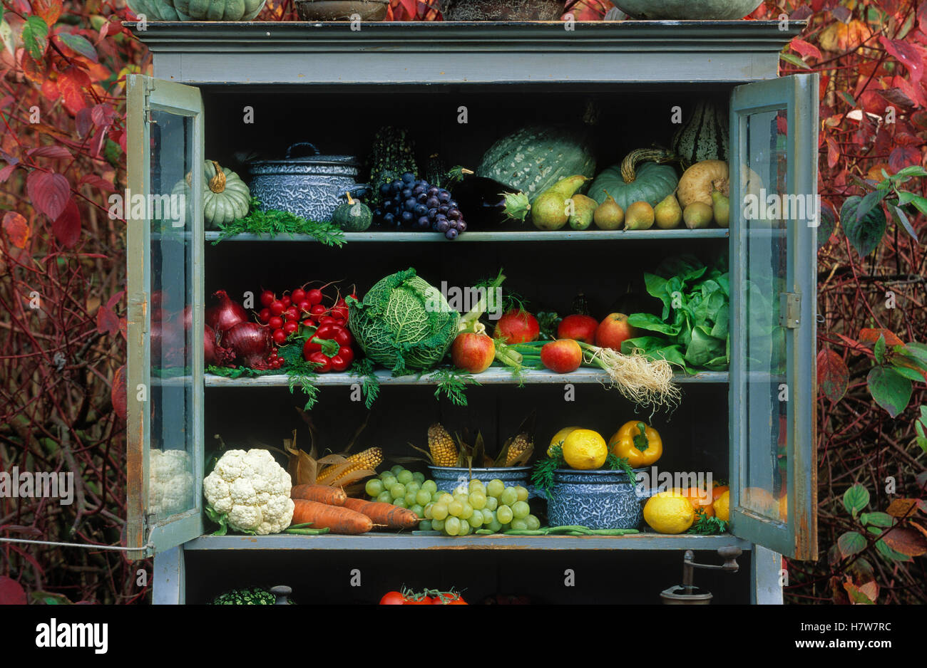 Cabinet with variety of fruits and vegetables, Europe Stock Photo - Alamy