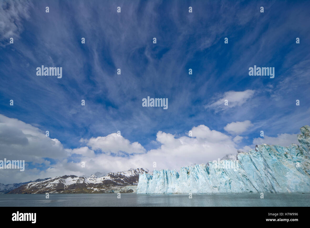 Wall of blue glacier descending toward sea with cumulus clouds and ...