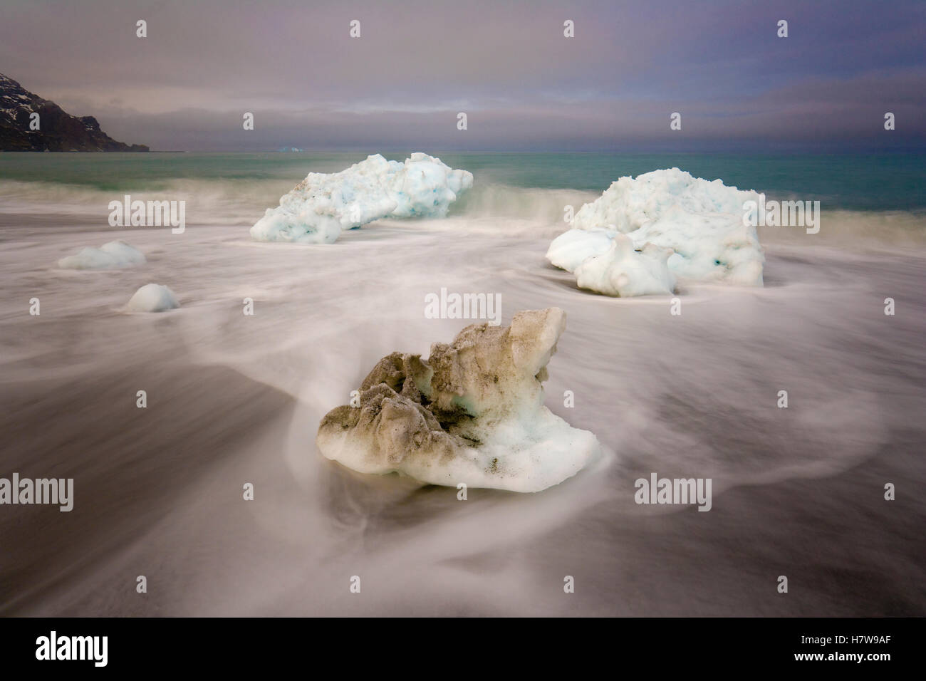 Melting ice from calving glaciers left on beach by high tide in spring ...