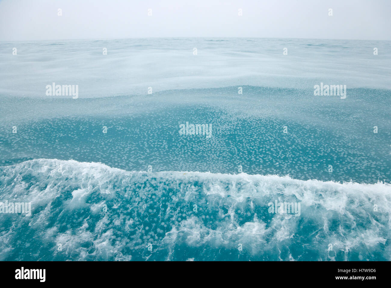 Freshly falling snow forms slush on undulating sea surface, South ...