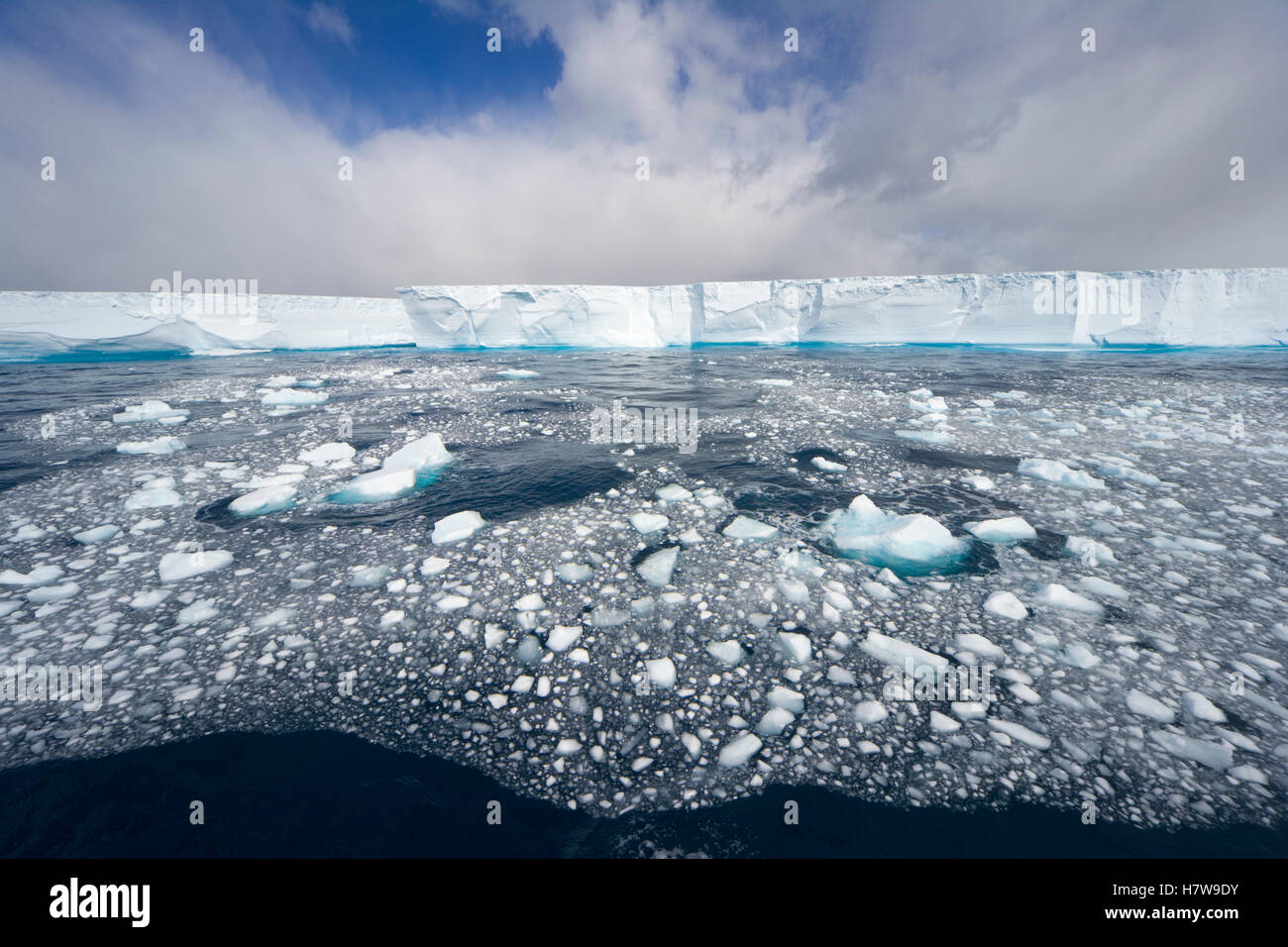 Iceberg sculpted by waves and loose ice chunks floating in sea as ...