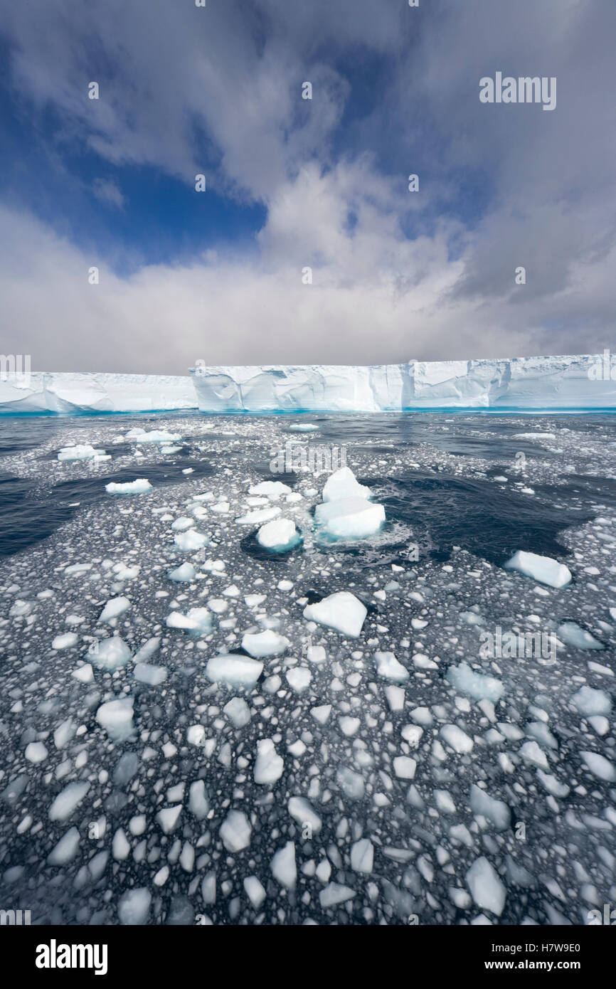 Iceberg sculpted by waves and loose ice chunks floating in sea as ...