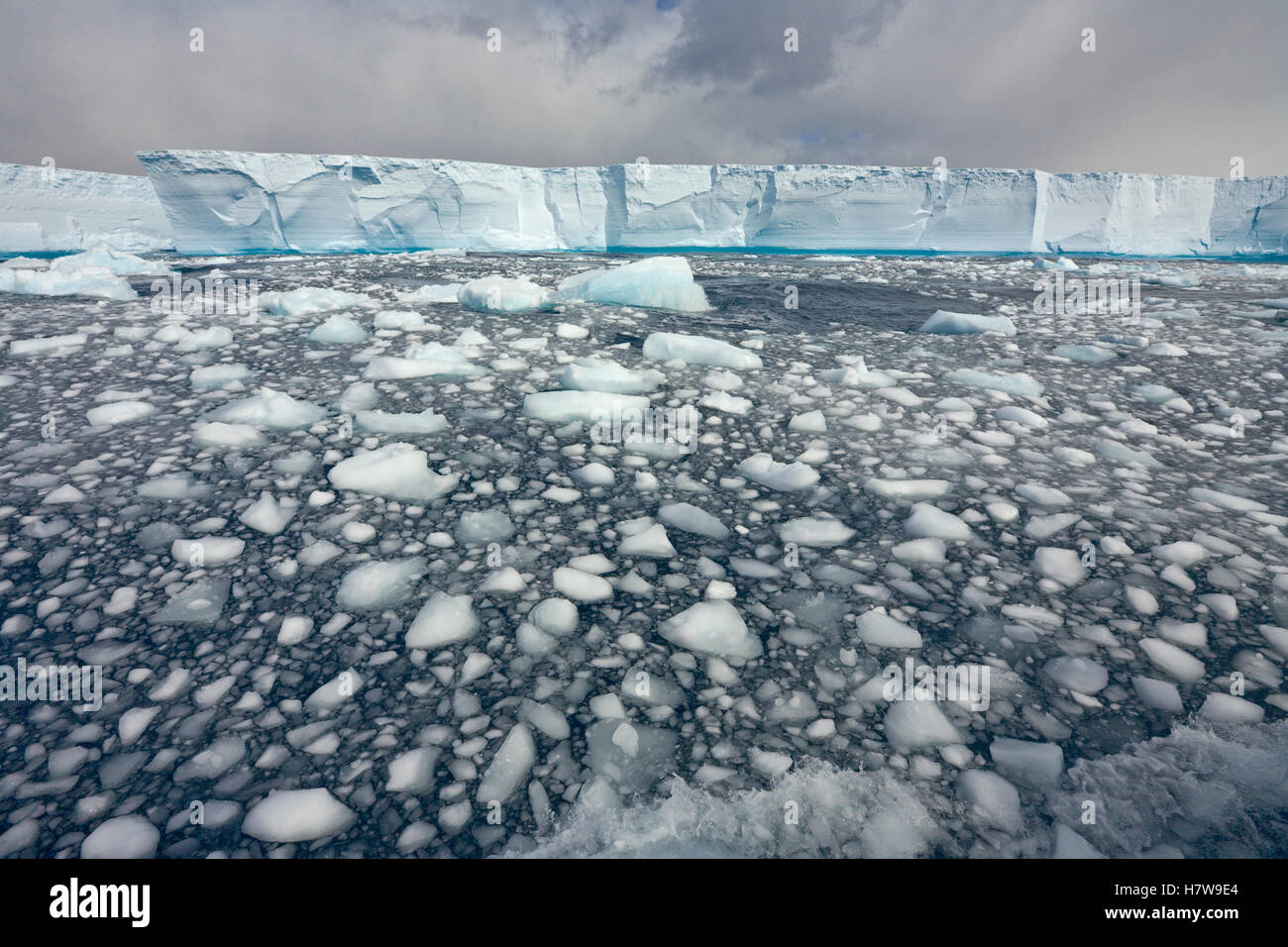 Iceberg sculpted by waves and loose ice chunks floating in sea as ...