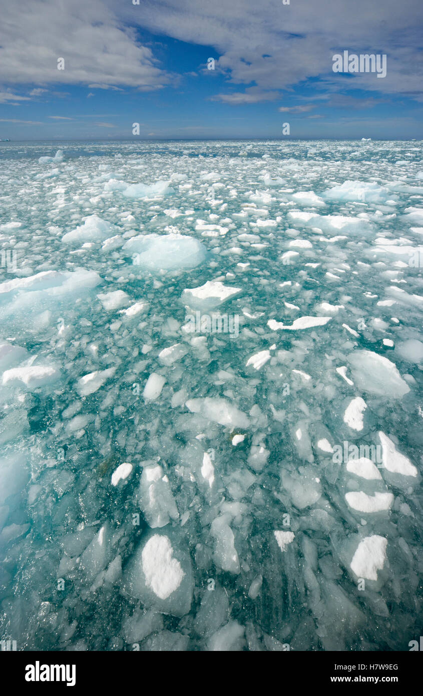 Ice chunks calved off Twitcher Glacier floating and melting in sea ...