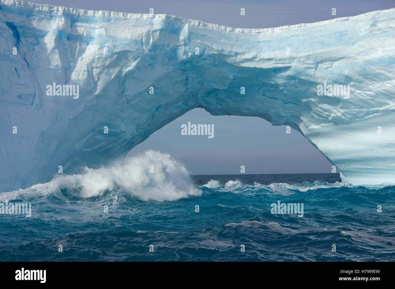 Massive blue and white iceberg with arch sculpted by waves and melting ...