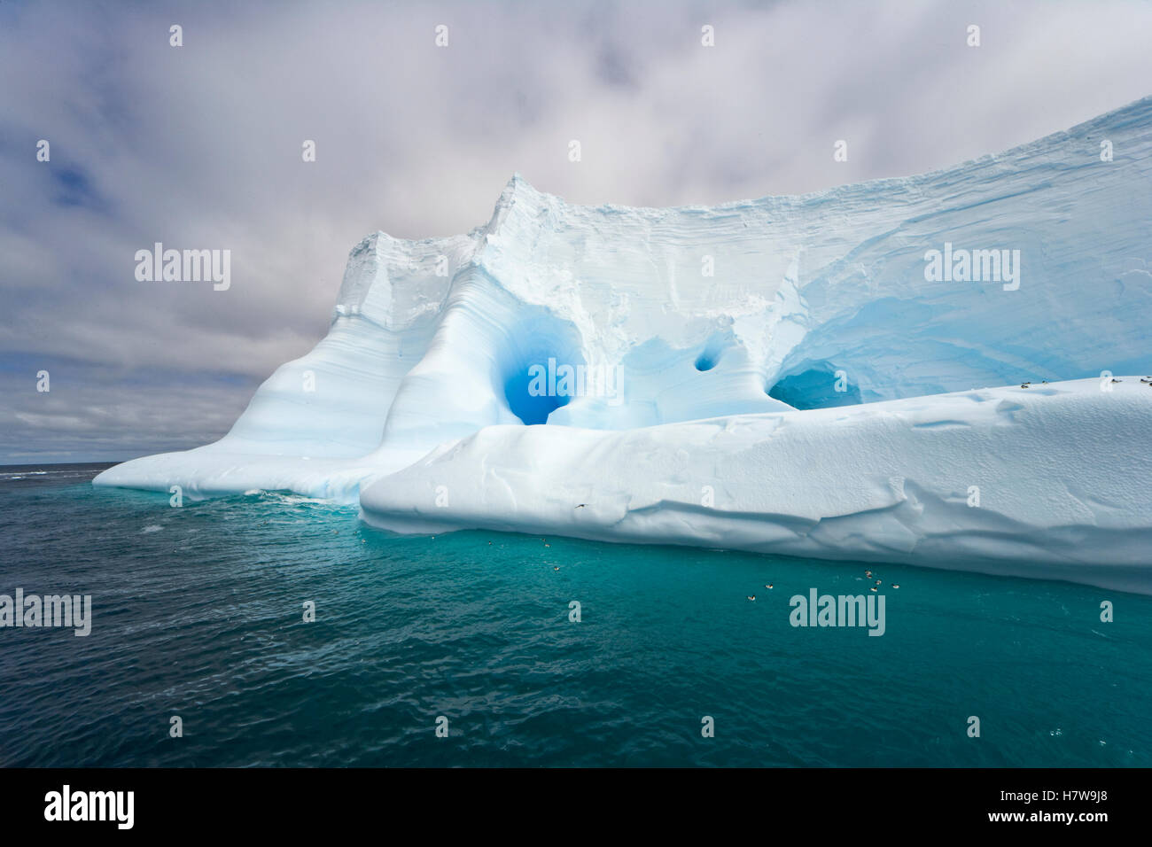 Blue iceberg dramatically sculpted by waves and melting action ...