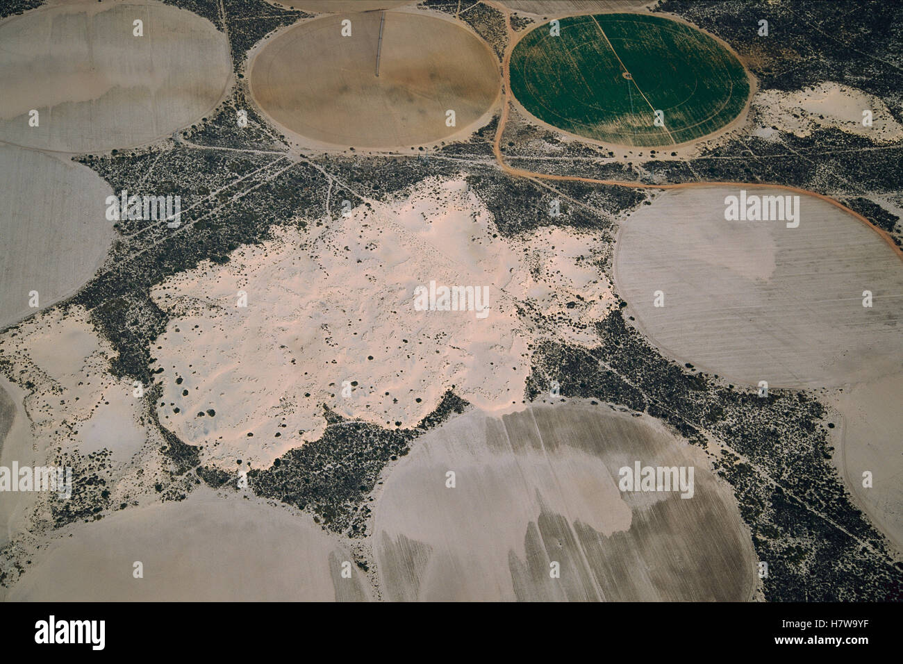 Potato farms showing irrigation circles, Sandveld, South Africa Stock Photo - Alamy