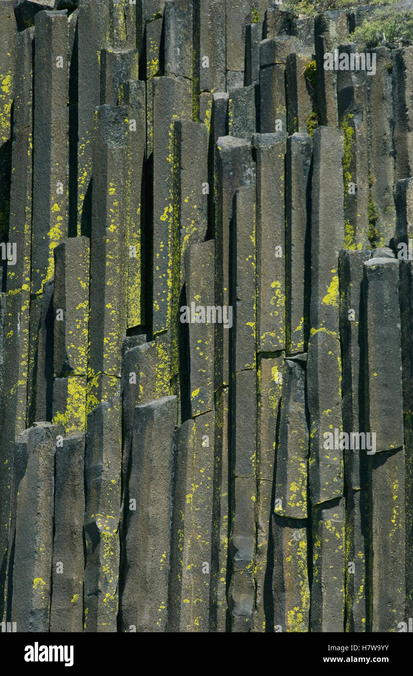 Columnar basalt, Devil's Postpile National Monument, California Stock ...