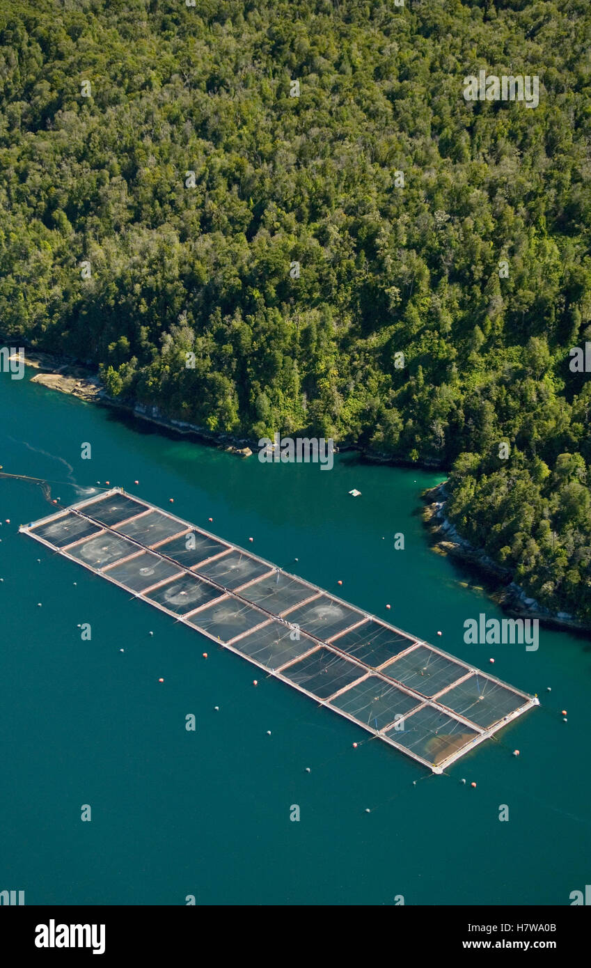 Salmon (Salmonidae) farm near Puerto Montt, Chile Stock Photo - Alamy