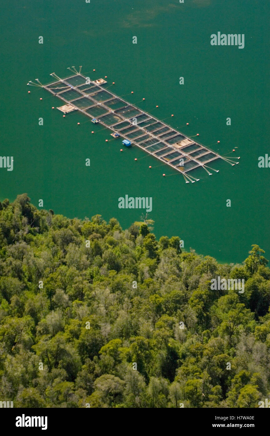 Salmon (Salmonidae) farm near Puerto Montt, Chile Stock Photo - Alamy