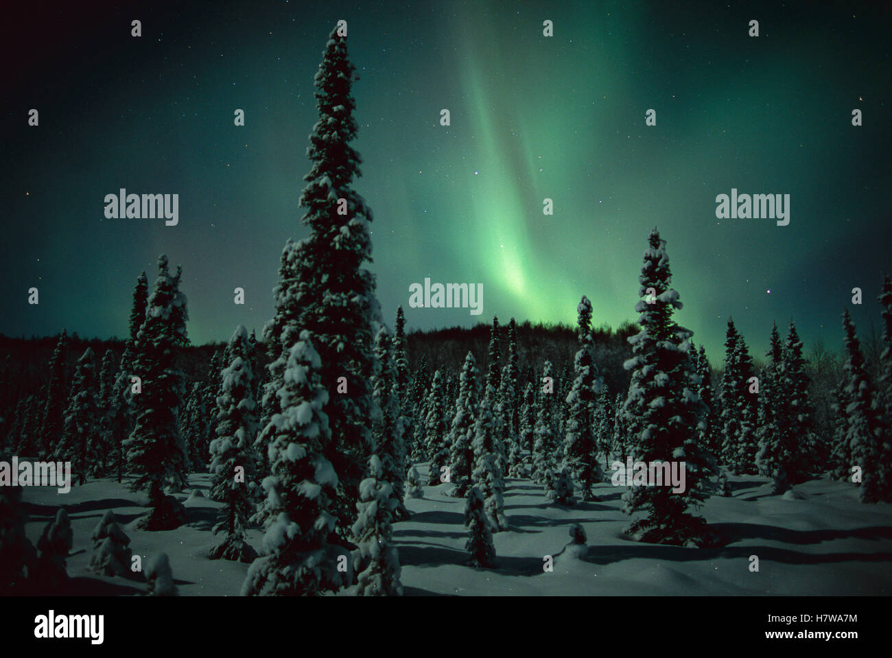 Aurora borealis over Susitna Valley, southcentral Alaska Stock Photo ...