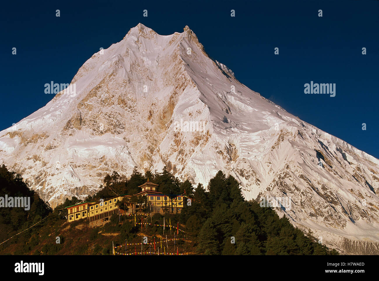 Manaslu (8,156 meters) towers over monastery, Mansiri Himal region of ...
