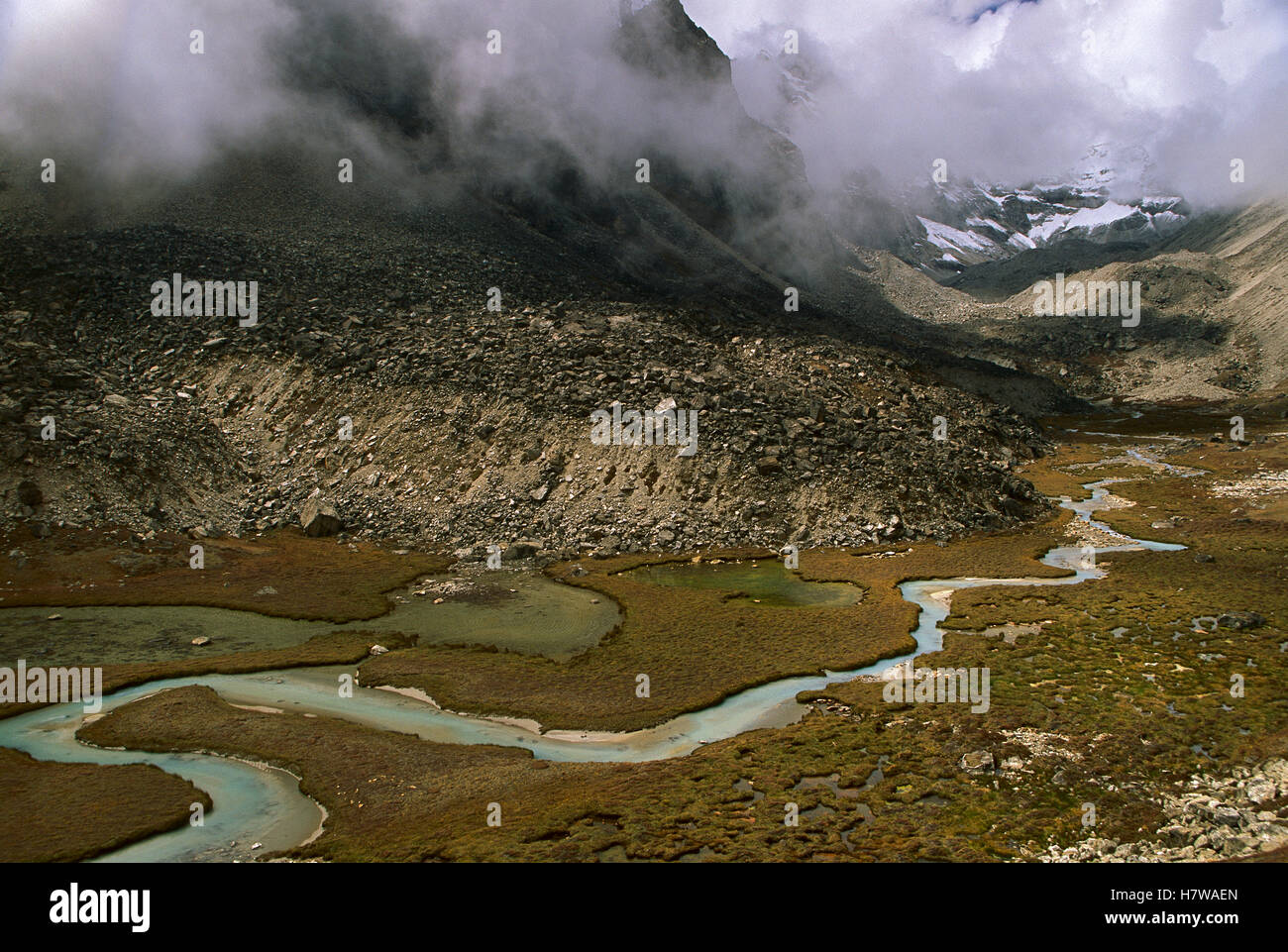 Alpine bog and stream, Hinku Valley, Makalu-Barun National Park, Nepal ...