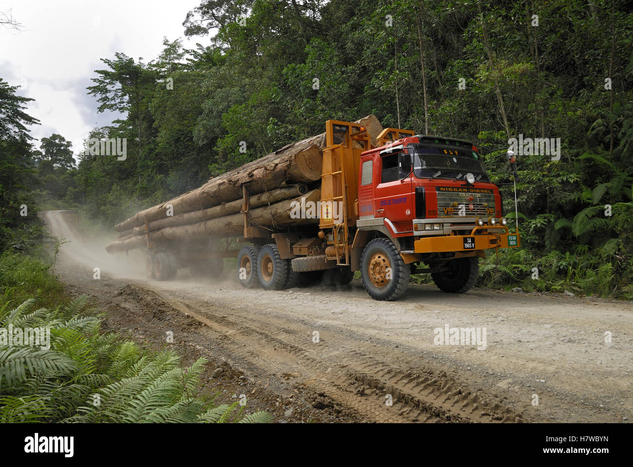 Truck with timber from a logging area, Danum Valley Conservation Area ...