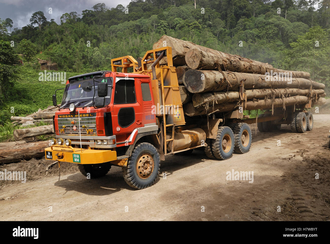 Truck with timber from a logging area, Danum Valley Conservation Area ...