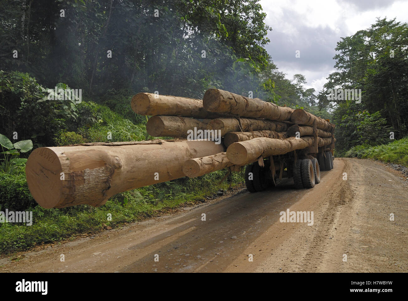 Truck with timber from a logging area, Danum Valley Conservation Area ...