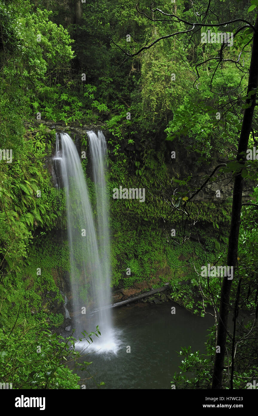 Sacred Waterfall, Montagne D'Ambre National Park, Madagascar Stock ...