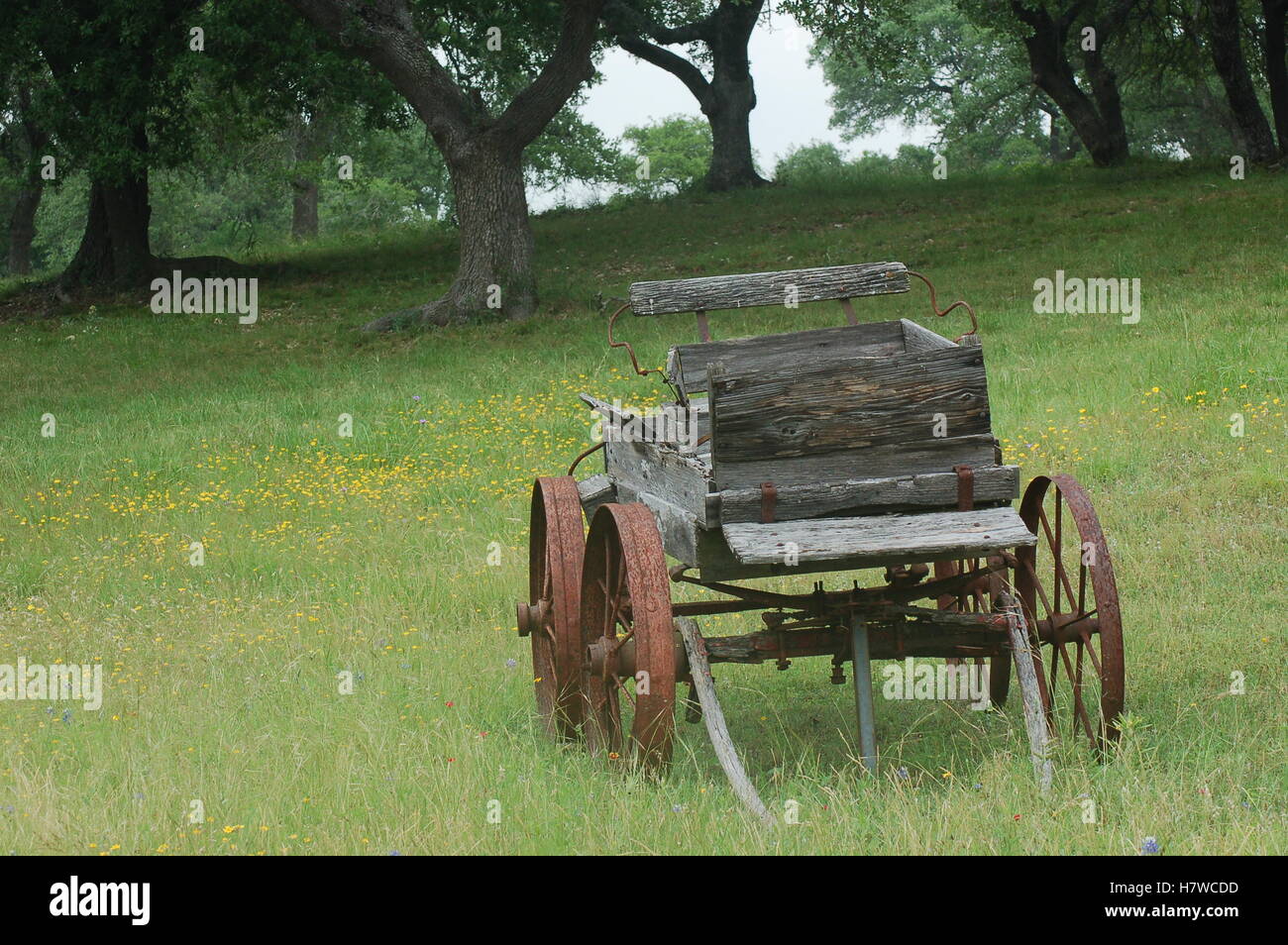 Old carriage in a field with trees behind Stock Photo - Alamy