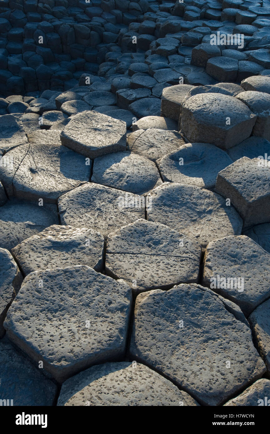 Columnar basalt at sunset, Giant's Causeway, County Antrim, northern ...