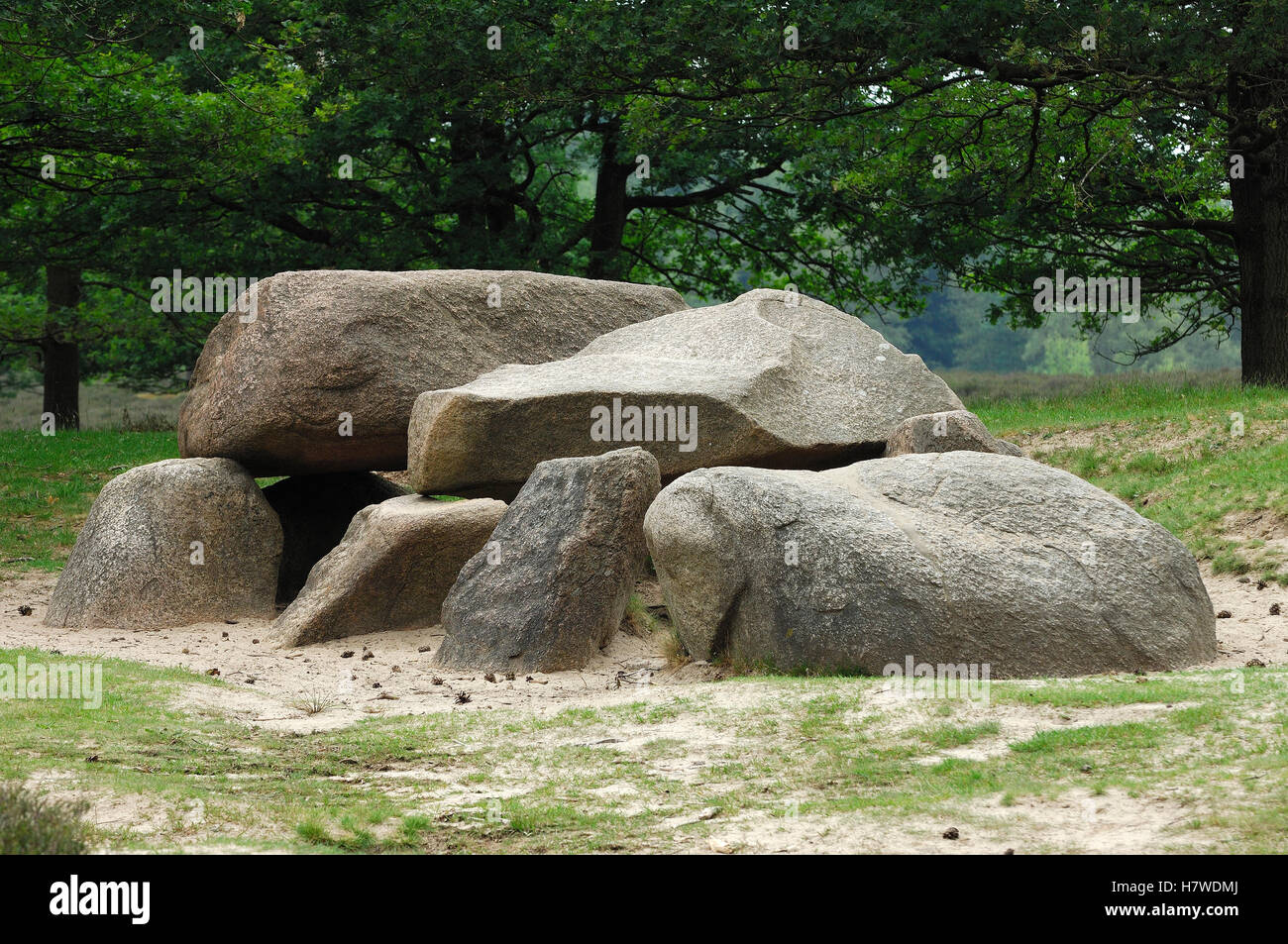Dolmen, ancient Neolithic burial chamber from about 3,500 BC, Drenthe ...
