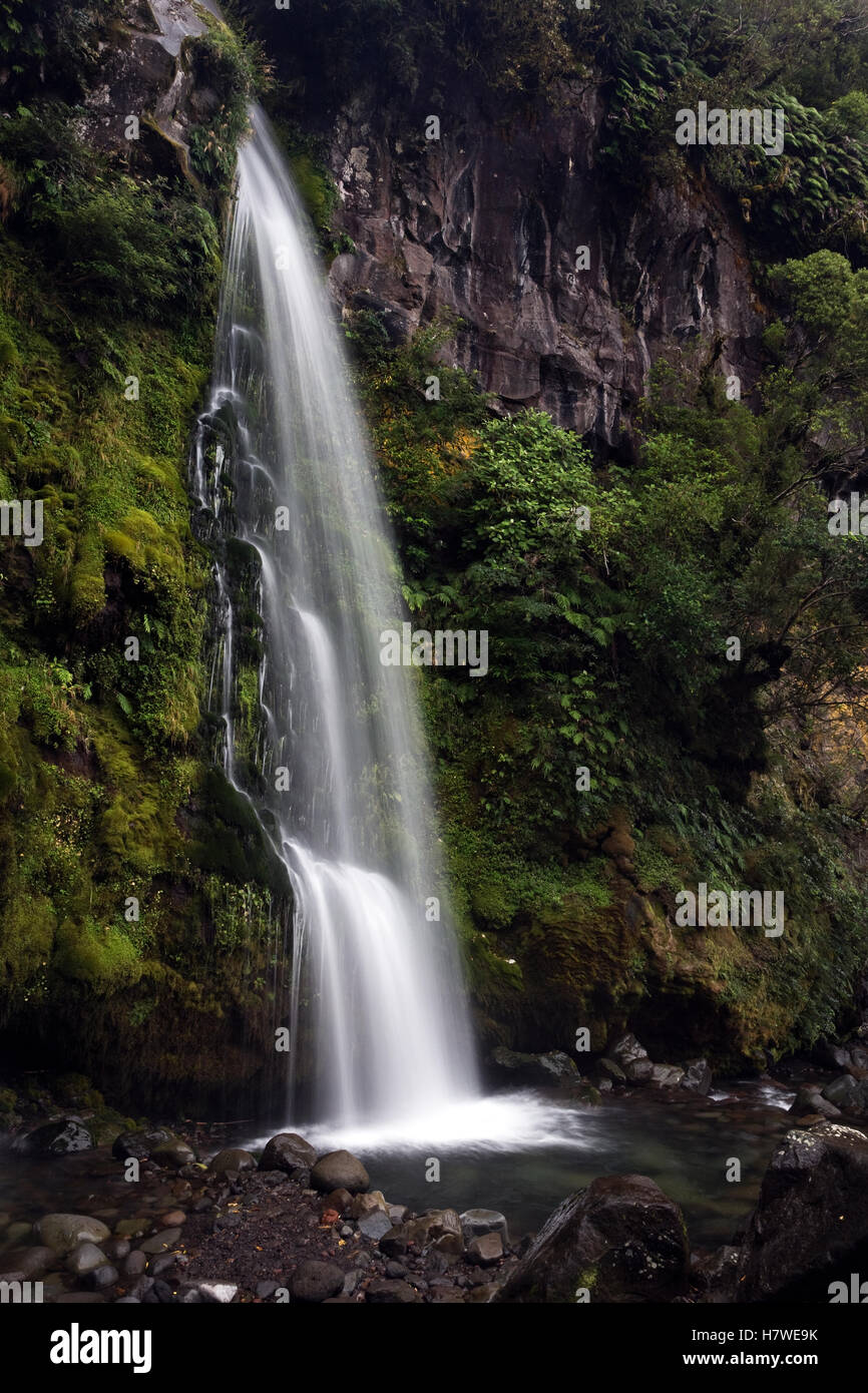 Dawson Falls, Egmont National Park, Taranaki, New Zealand Stock Photo ...