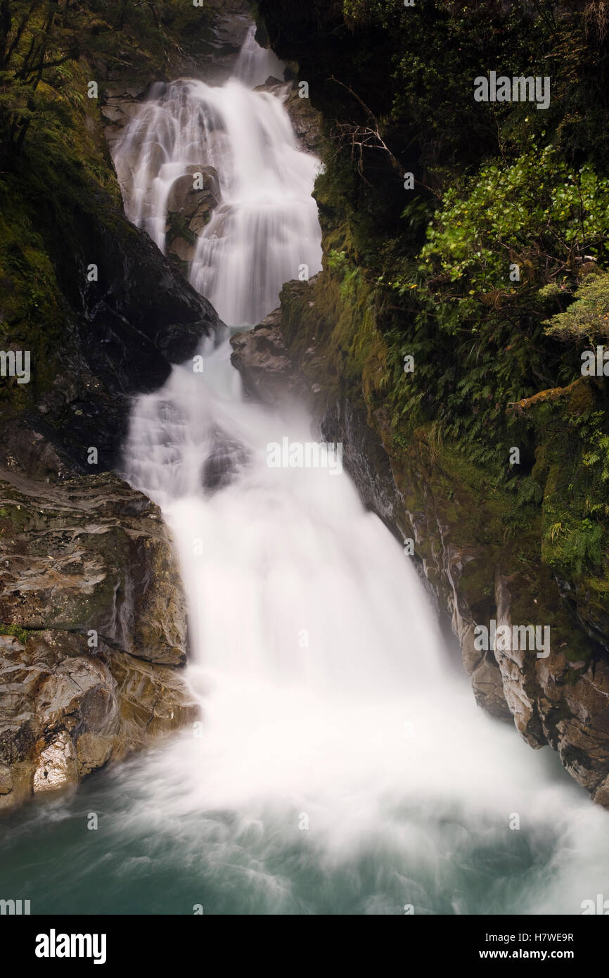 Waterfall, Fiordland National Park, New Zealand Stock Photo - Alamy