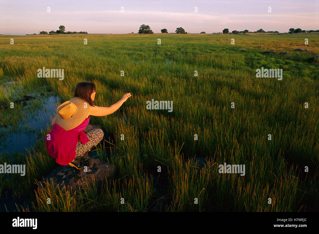 Vernal Pool with tourist, Santa Rosa Plateau Ecological Reserve ...
