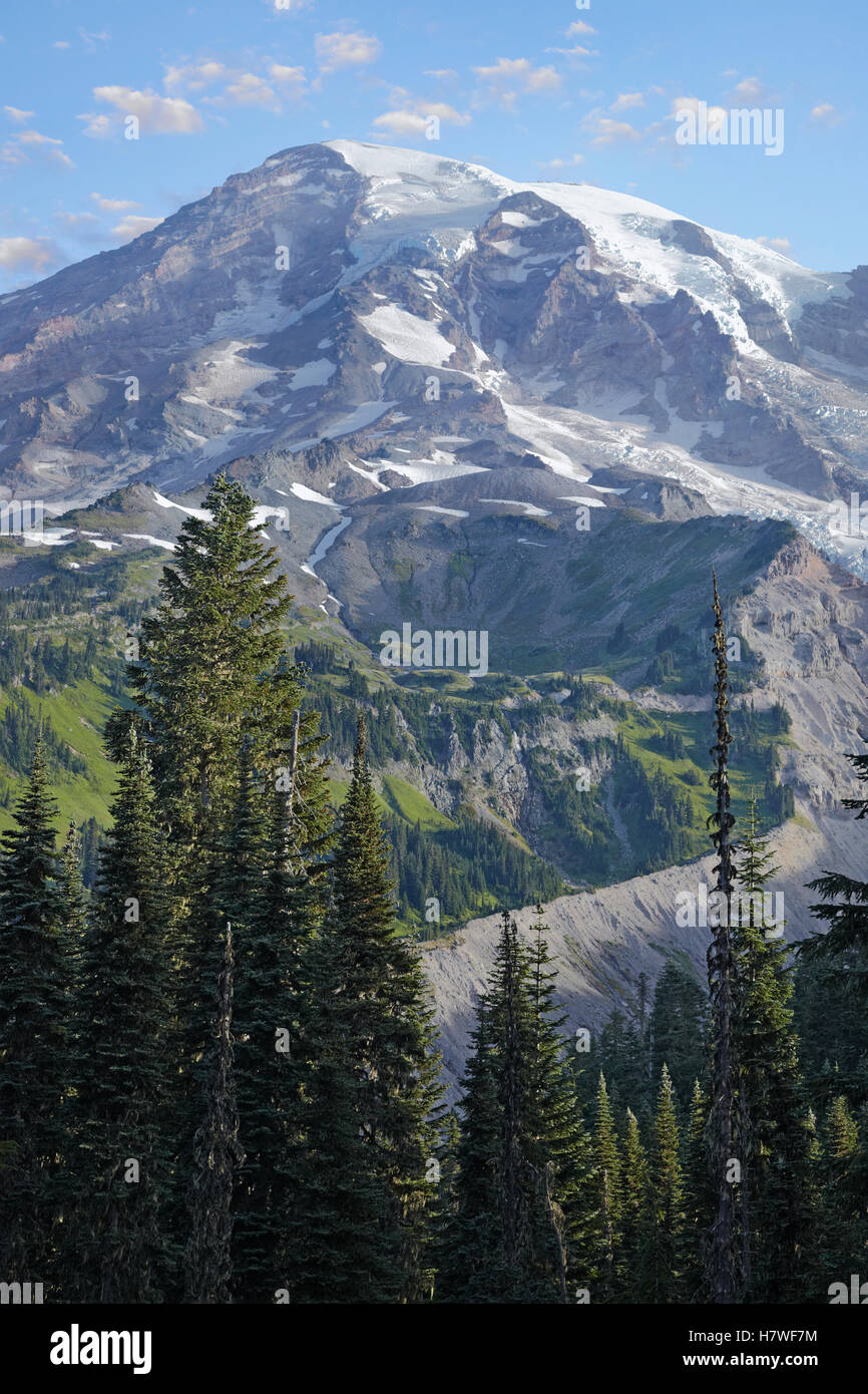 Mount Rainier, Mount Rainier National Park, Washington Stock Photo - Alamy