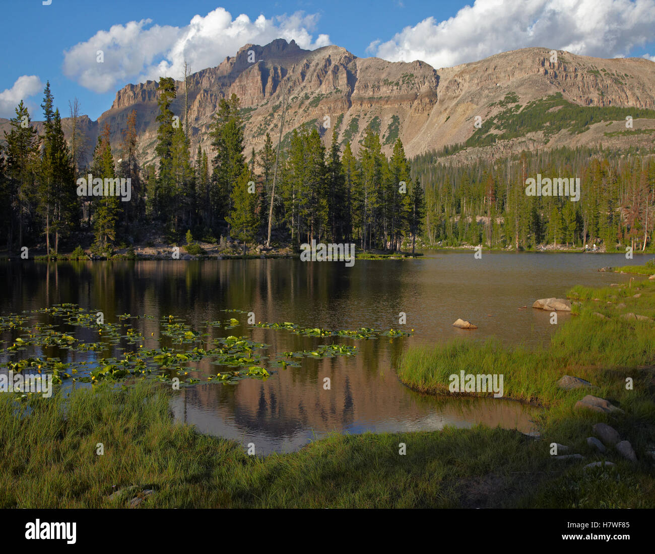 Uinta mountain range hi-res stock photography and images - Alamy