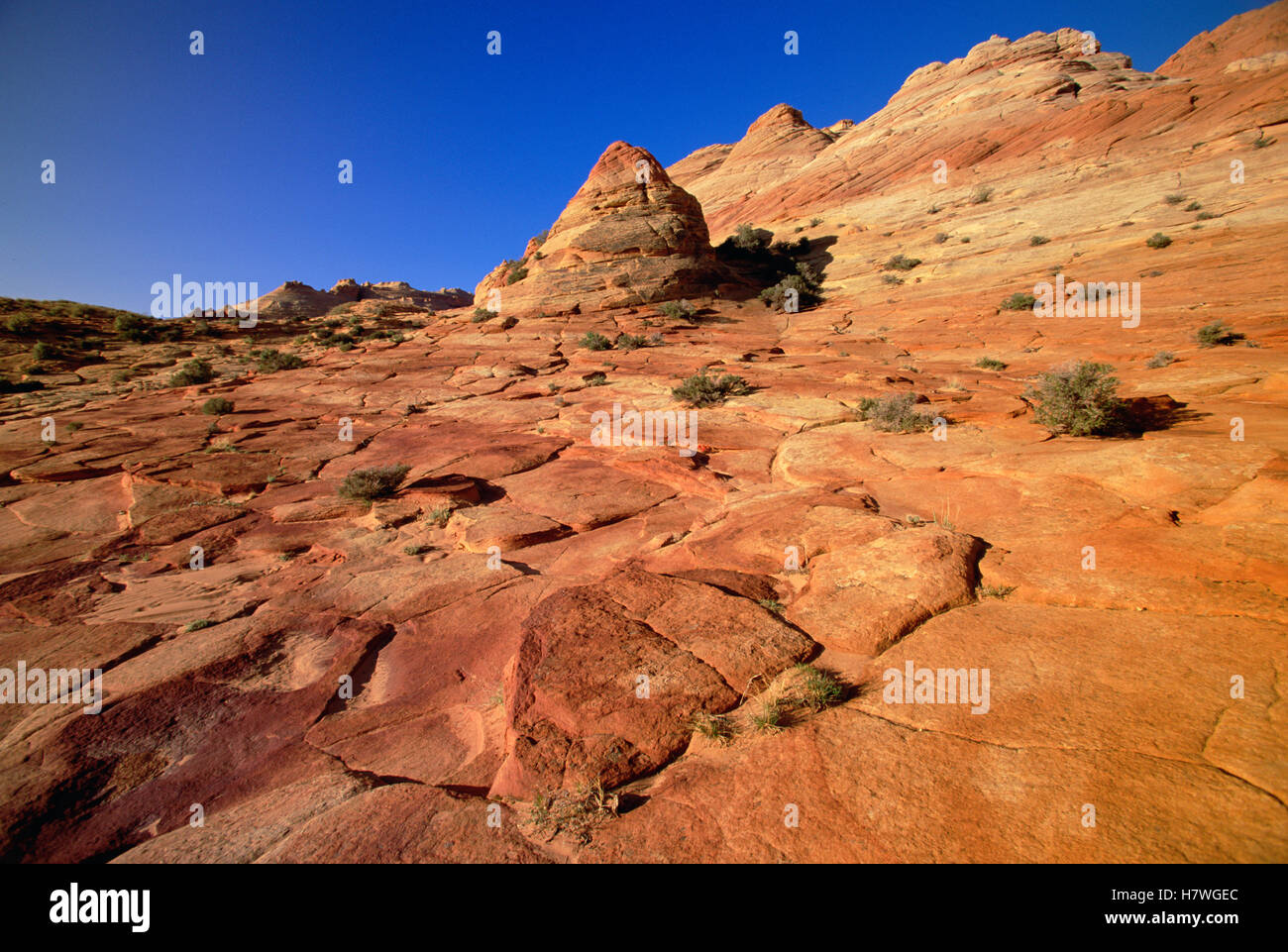 Colorful sandstone patterns of petrified sand dunes and ridges created ...