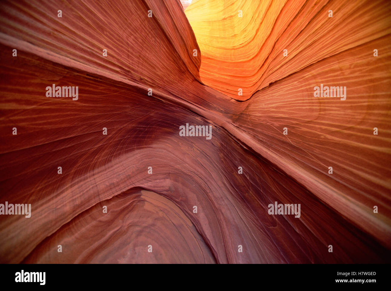 Small canyon carved by water showing colorful patterns of sandstone ...