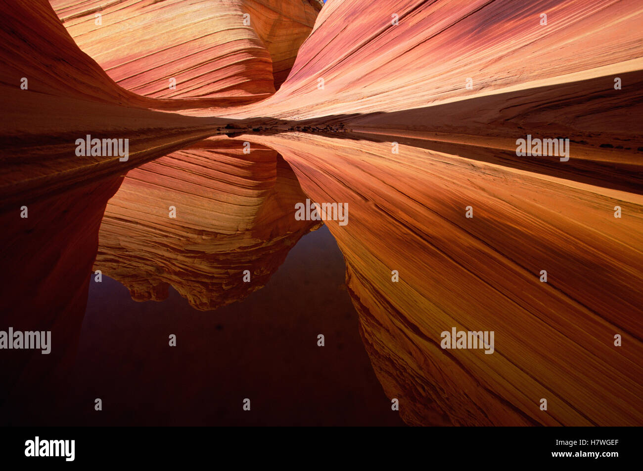 Colorful sandstone patterns of lines, ridges and ripples, carved by ...