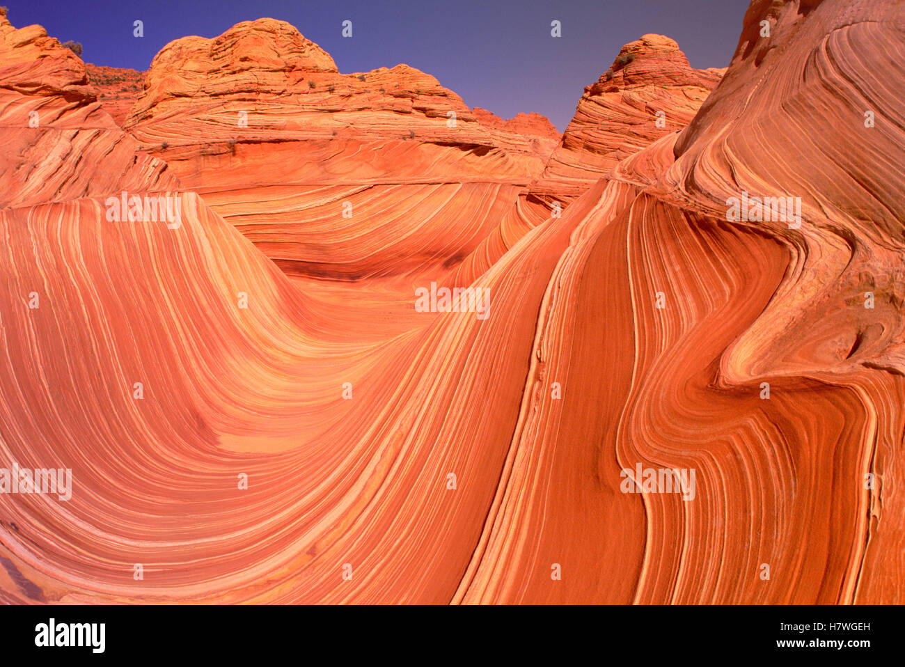 Colorful sandstone, with strong pattern of wavy lines exposed by ...
