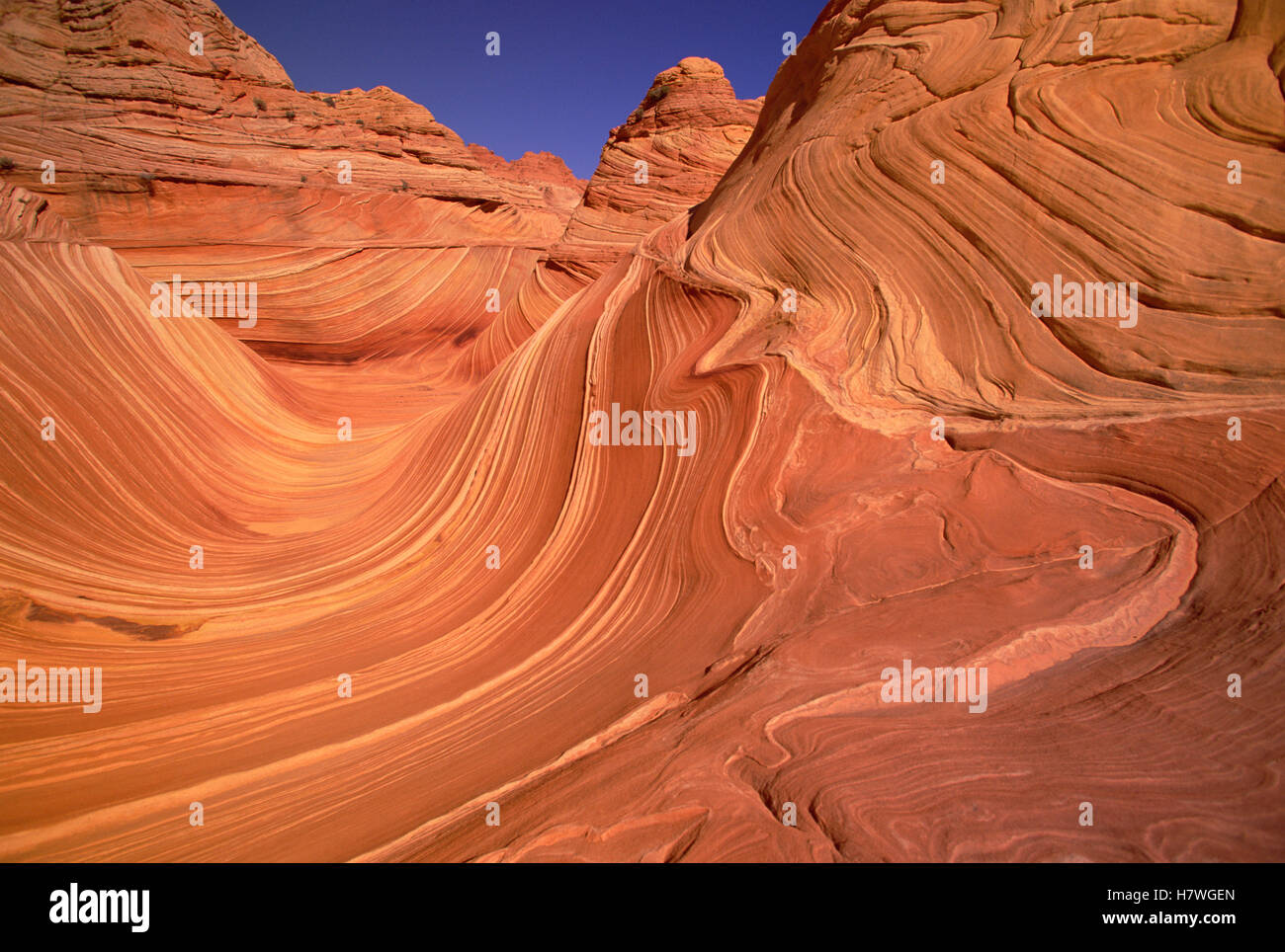 Colorful sandstone with strong pattern of wavy lines exposed by erosion ...