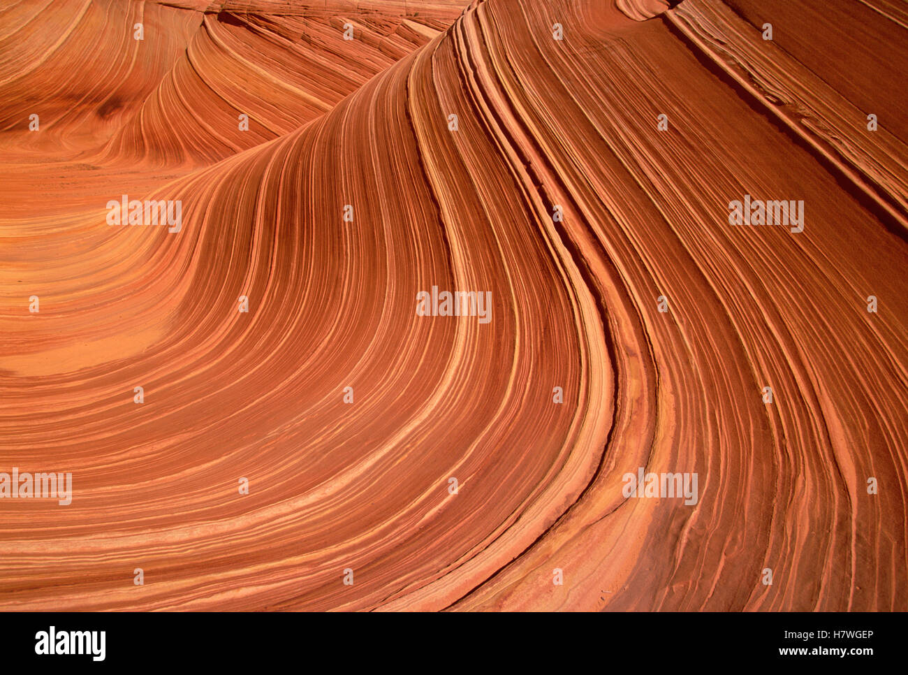 Colorful sandstone with strong pattern of wavy lines exposed by erosion ...