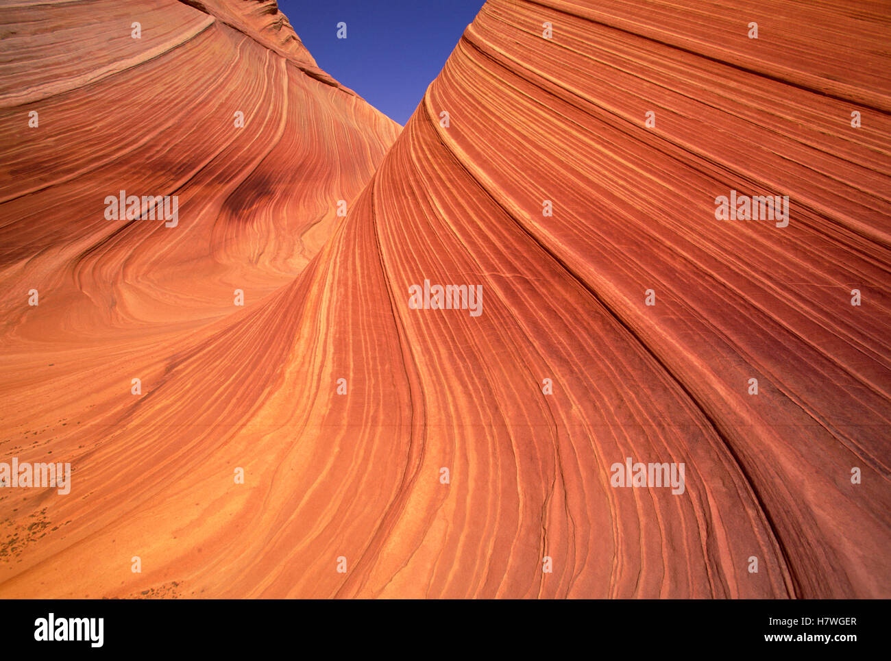 Colorful sandstone with strong pattern of wavy lines exposed by erosion ...
