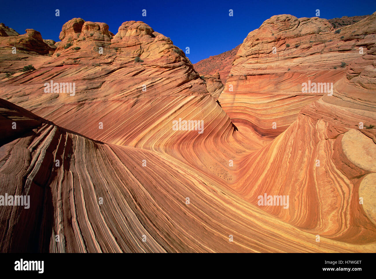 Colorful sandstone buttes with strong pattern of wavy lines exposed by ...