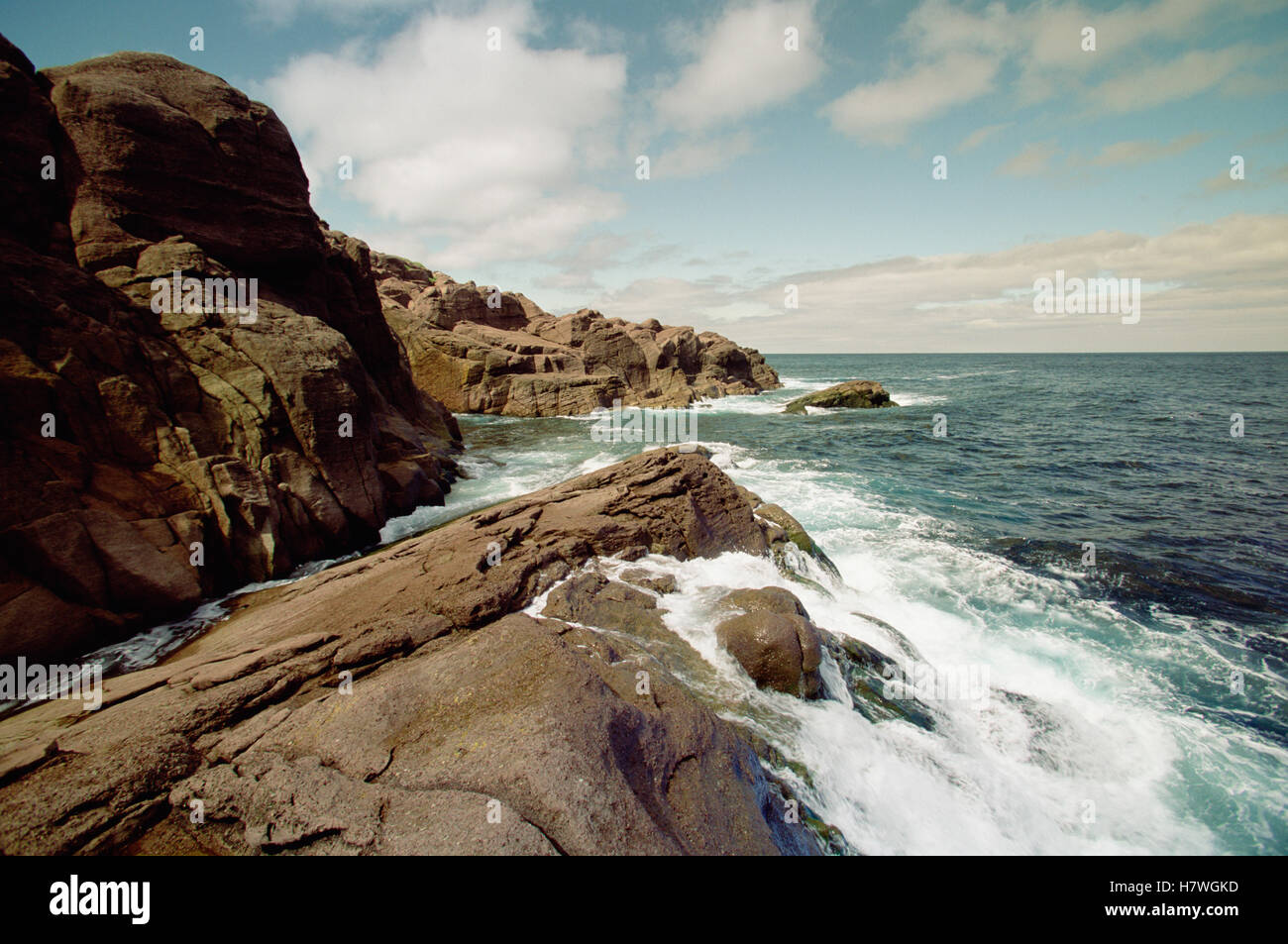 Coastal rock, surf, and cumulus clouds, summer, Cape Spear, the ...