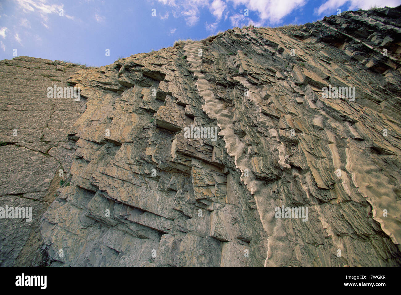 Green Point, some of the oldest exposed rocks, uplifted and twisted ...