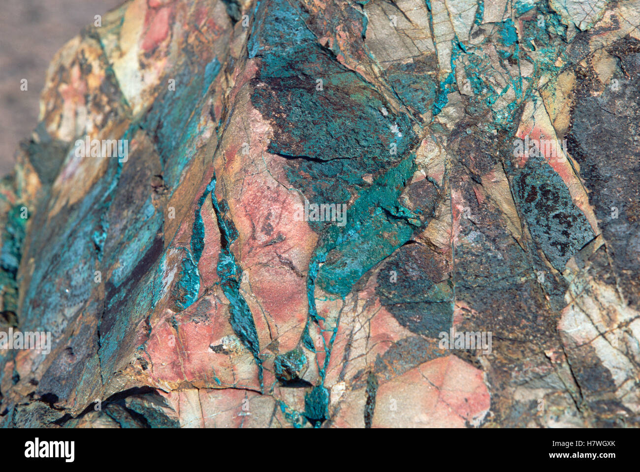 Copper ore, shines green on rock, Arizona-Sonora Desert Museum, Arizona ...