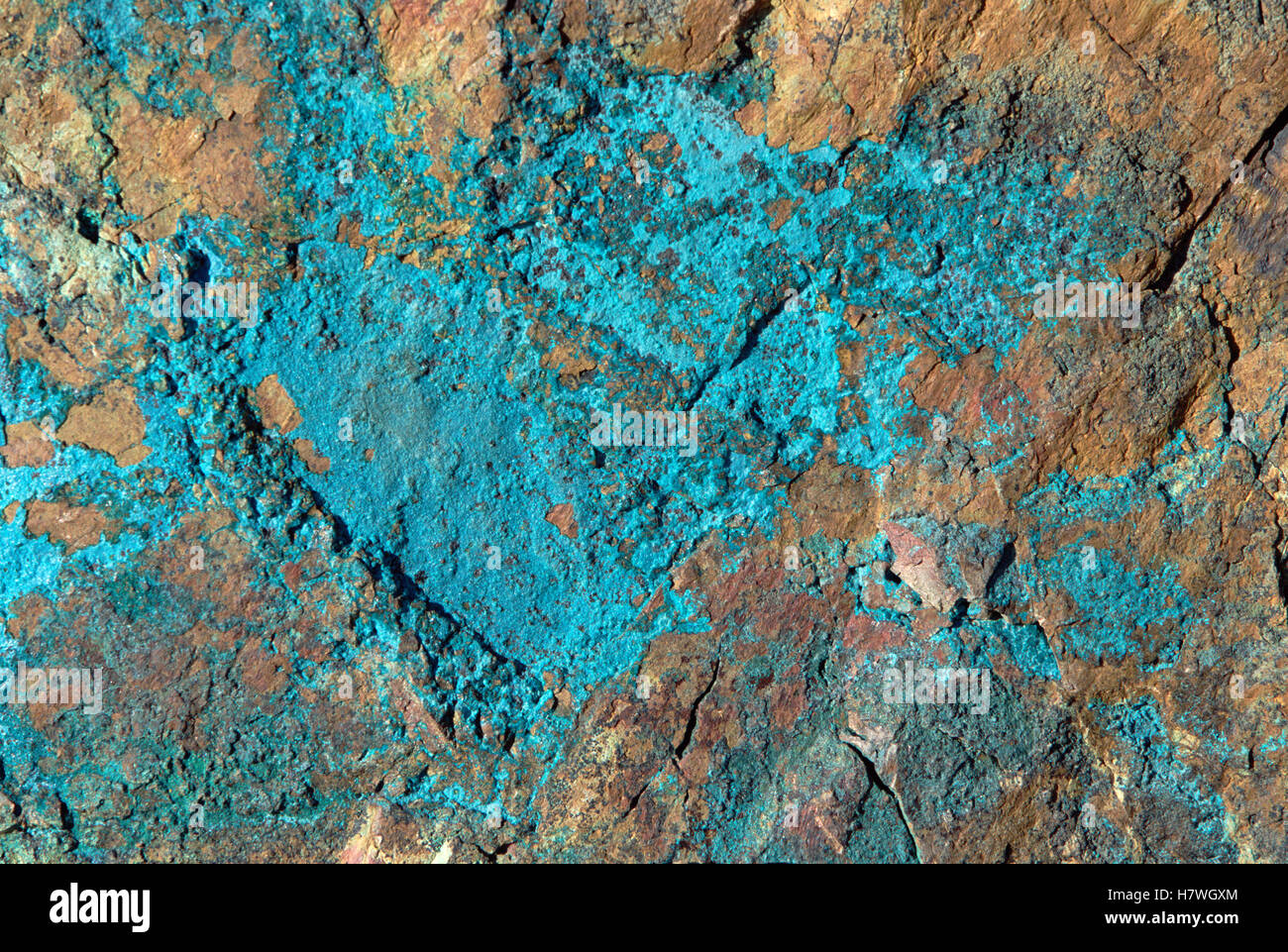 Copper ore, shines green on rock, Arizona-Sonora Desert Museum, Arizona ...
