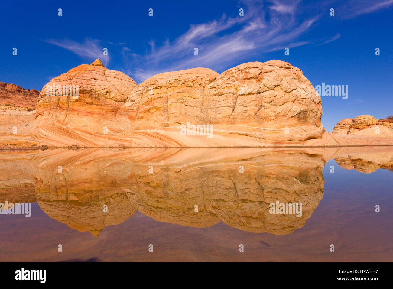 Seasonal rainwater pool reflecting surrounding sandstone buttes, autumn ...