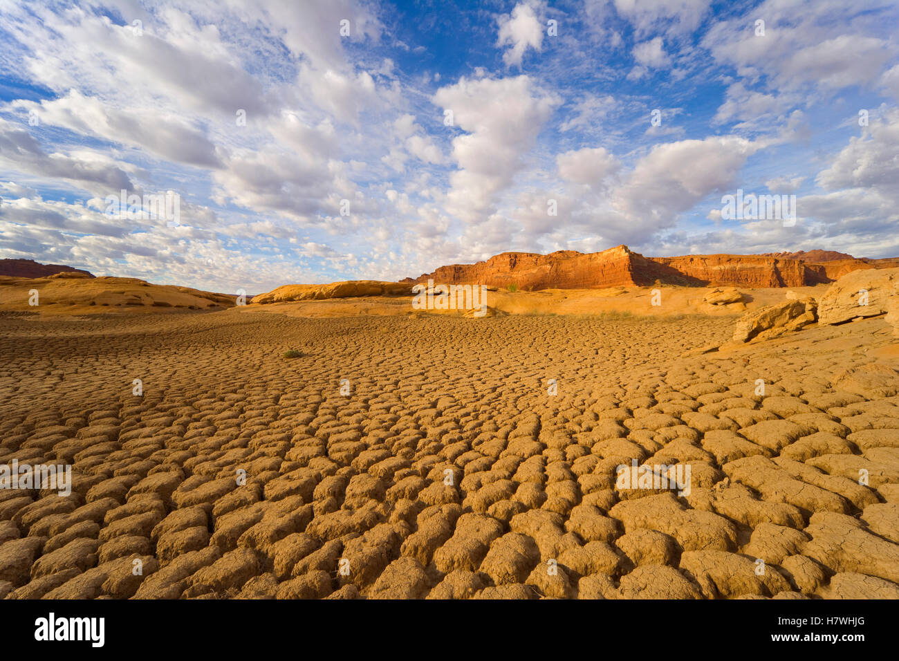Dry and cracking cakes of silt deposited by Colorado River during flood ...