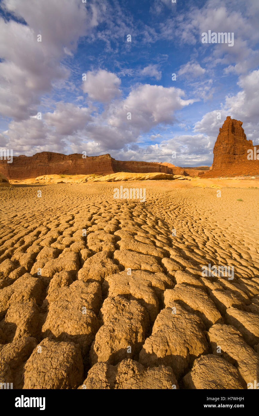 Dry and cracking cakes of silt deposited by Colorado River during flood ...