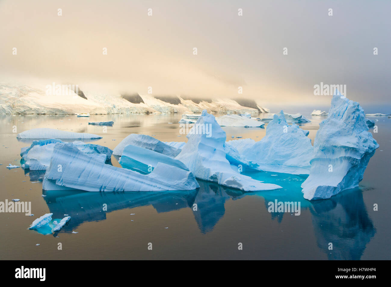 Iceberg in front of coastline at twilight, Booth Island, Antarctica ...