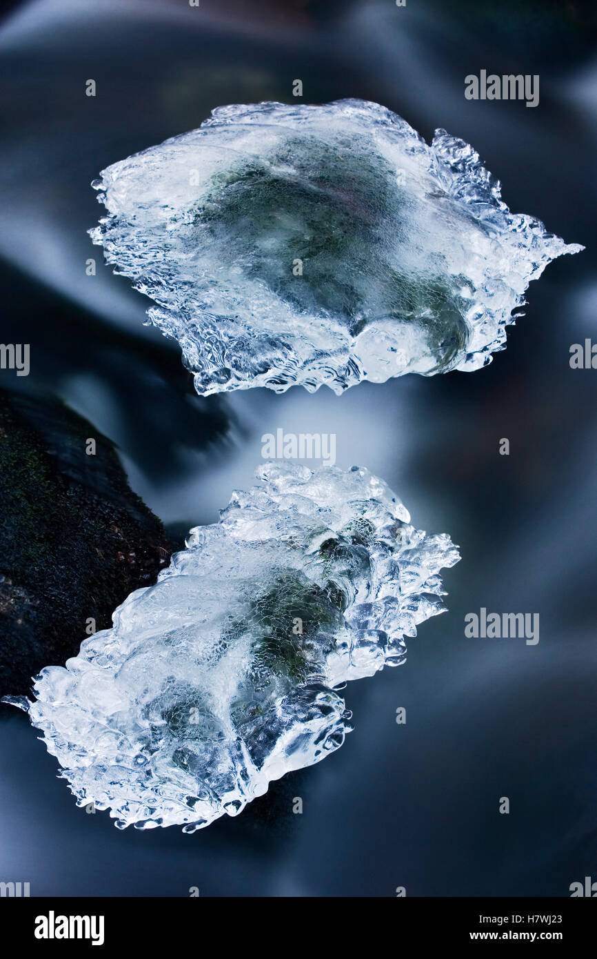 Ice patches in streaming water, Bavarian Forest, Germany Stock Photo ...