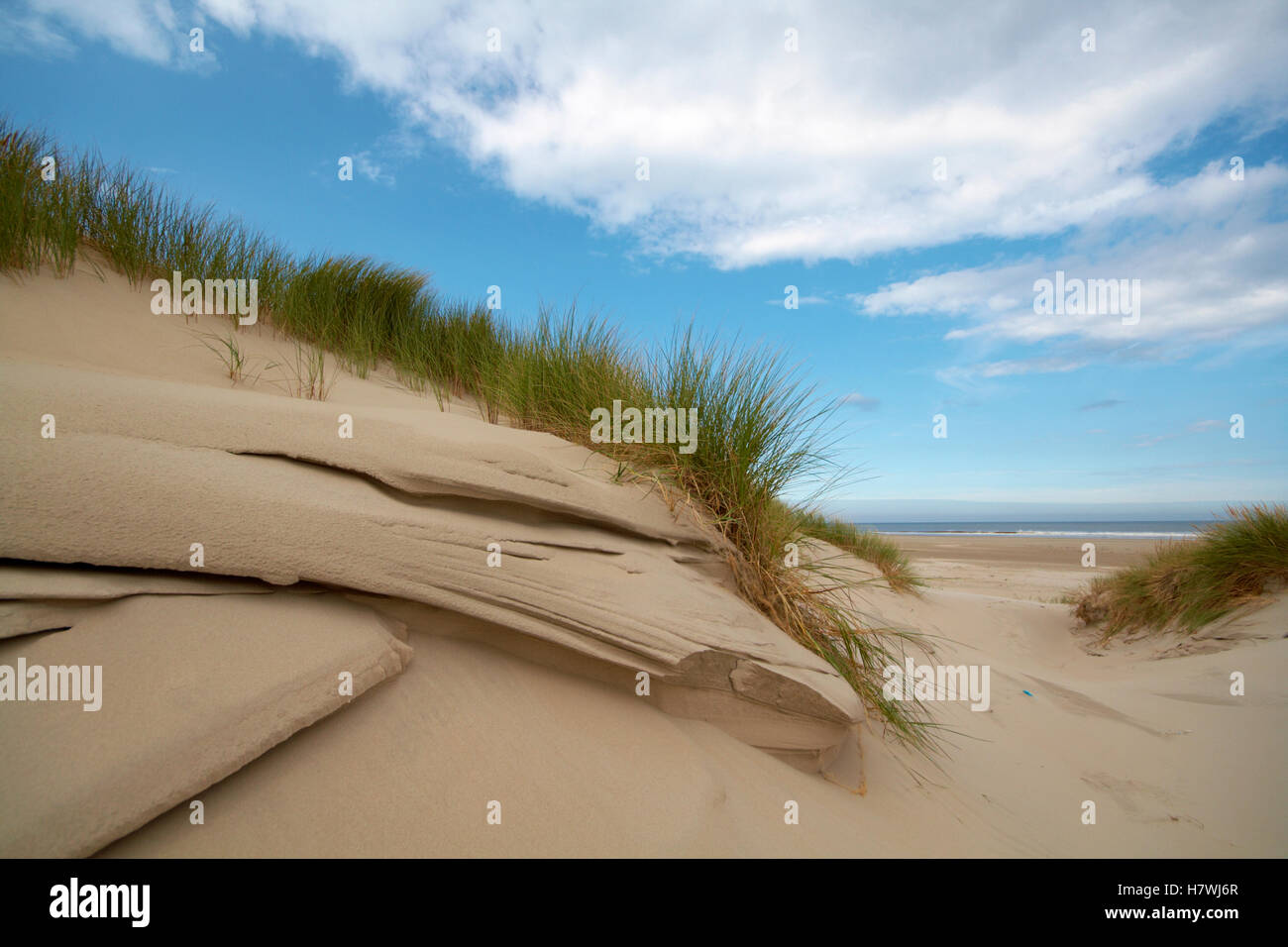 Dune landscape with the sea in the background, Terschelling, Friesland ...