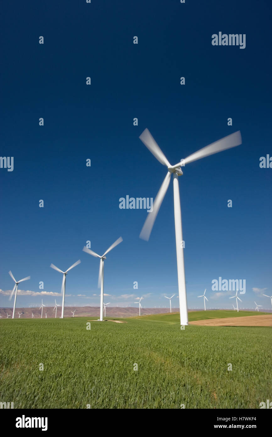 Biglow Wind Farm near the Columbia River, Oregon Stock Photo - Alamy